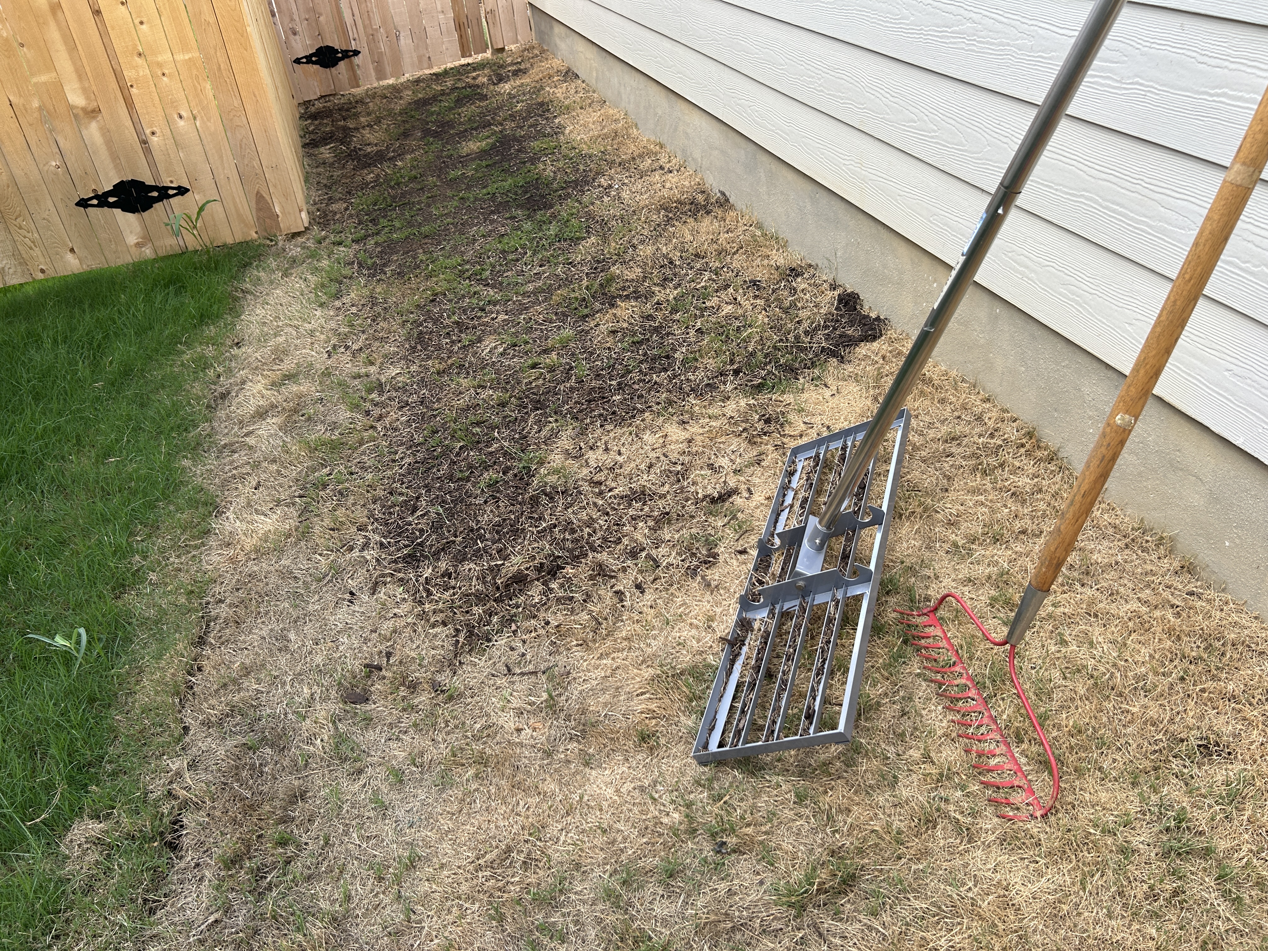 More Leveling Of The Front Lawn – Rewilding My Lot