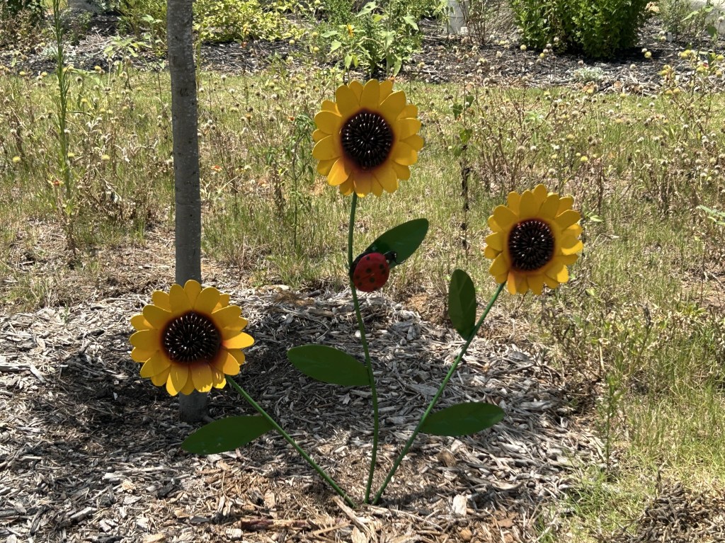 Yard Art – Rewilding My Lot